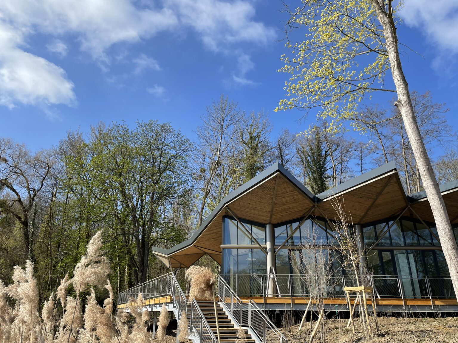 Les espaces – Hangar Y